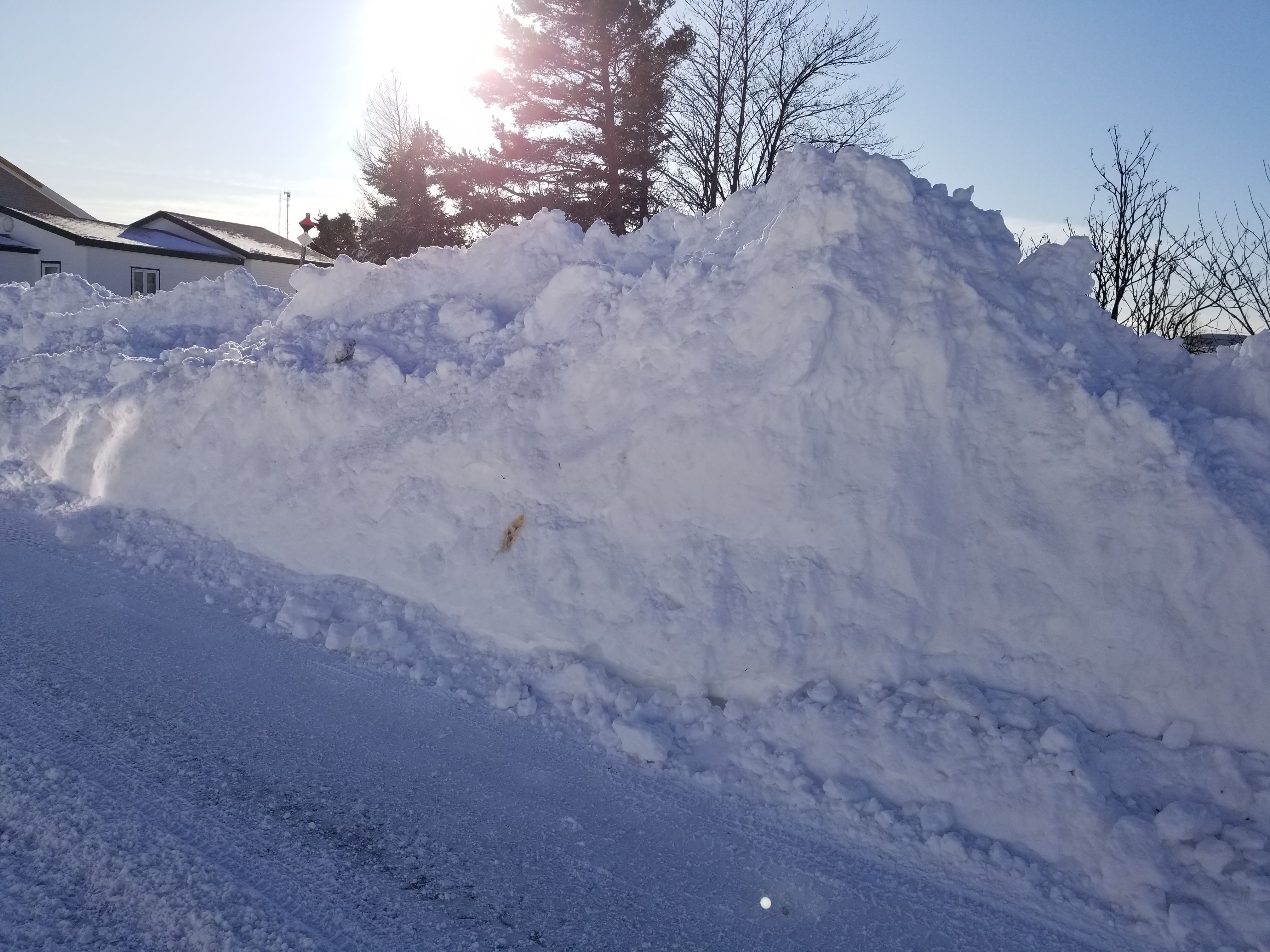 Ashing Through The Snow – Earth To Ash